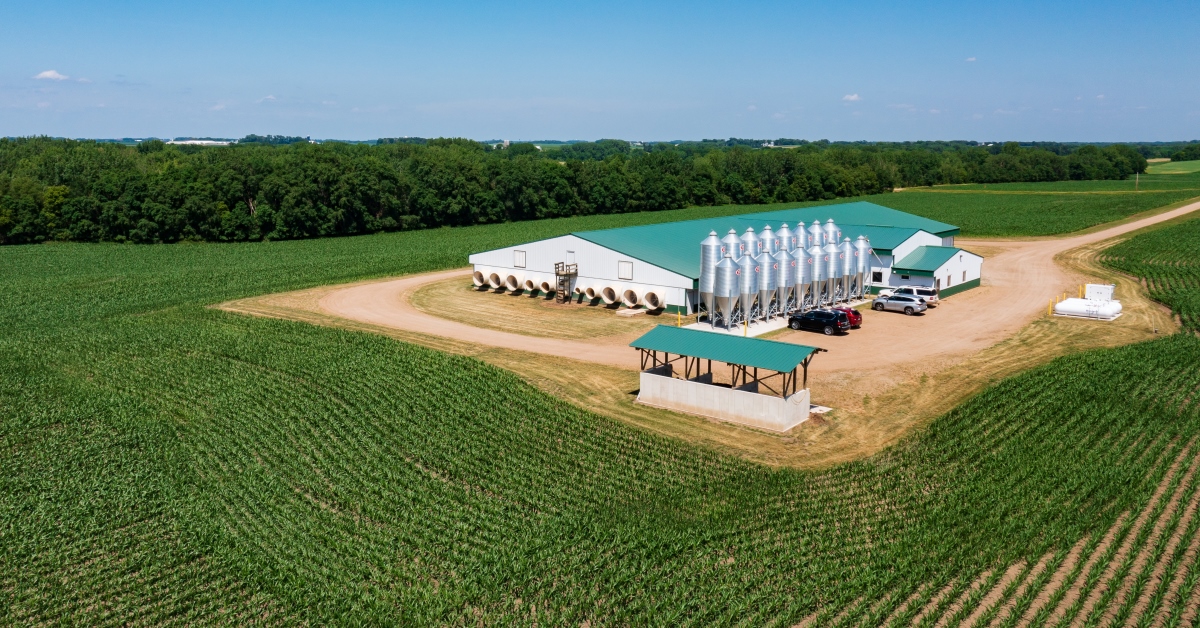 What can research do for you? | Hubbard Feeds