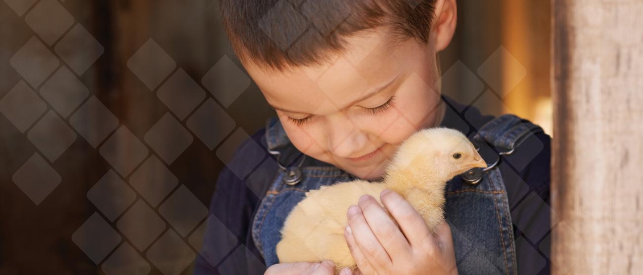 Home | Hubbard Feeds